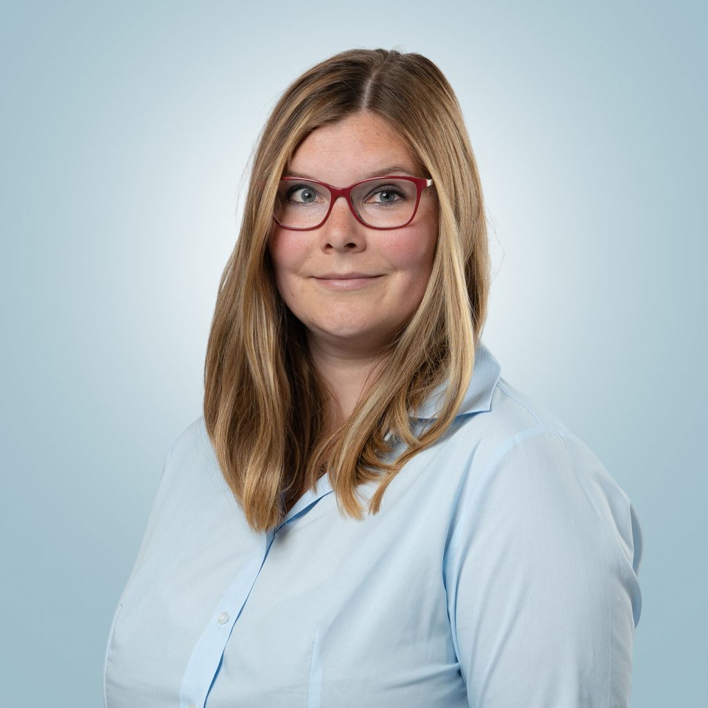 Ihr Renault und Dacia Händler mit Vertragswerkstatt in Bornhöved